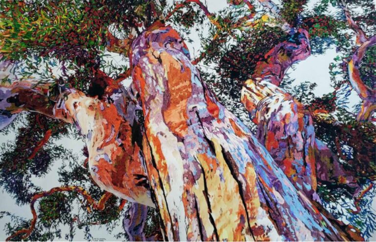 Robin Erickson Wins a Triple Crown! « SDWS Blog